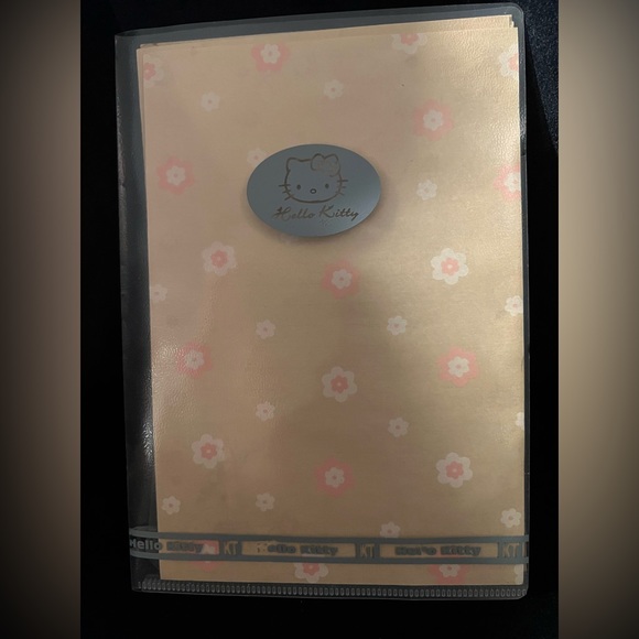 Sanrio | Office | Vintage 200 Hello Kittylady Bug Sanrio Rare Find ...